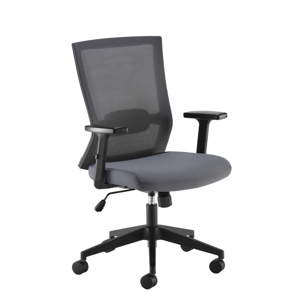 Height Adjustable Arms Office Chairs